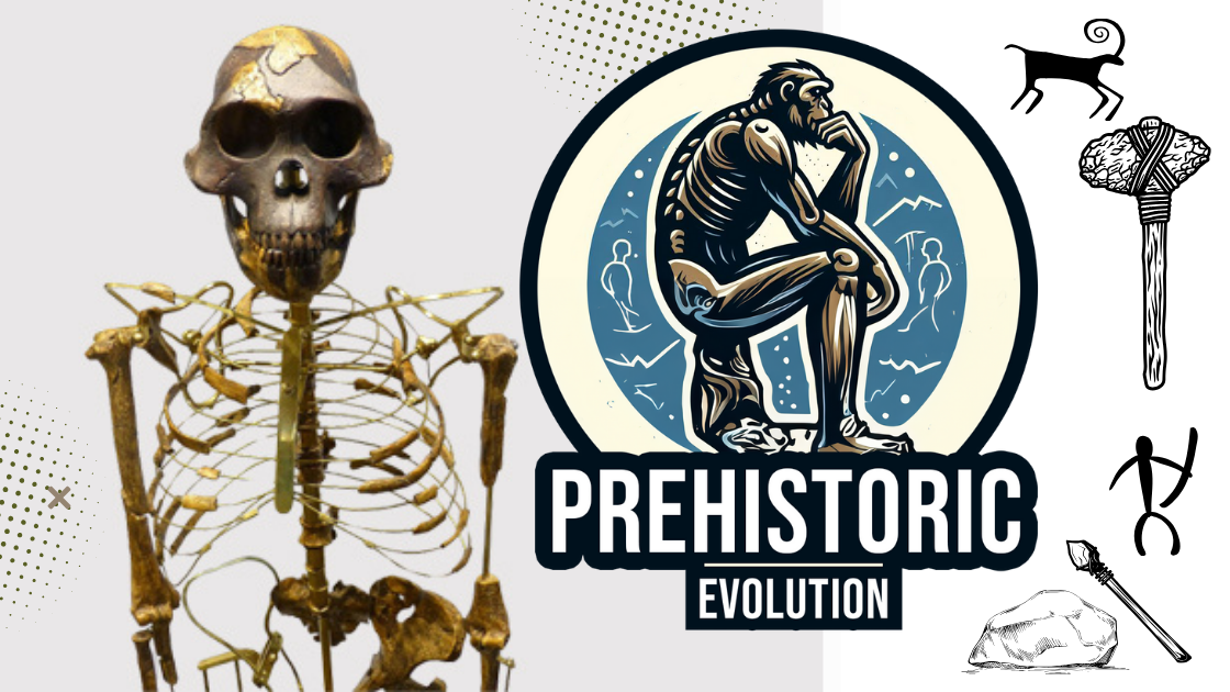 Erfahre hier die Geheimnisse von Australopithecus afarensis