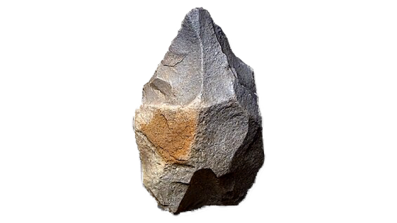 Homo ergaster| Faszinierende Fakten und Entdeckungen vor über 1,5 ...