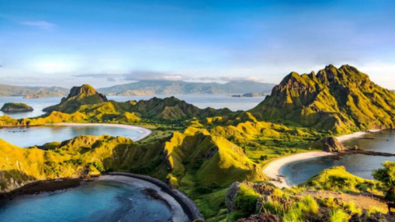 Homo floresiensis| Was seine 100.000 Jahre alte Geschichte verrät